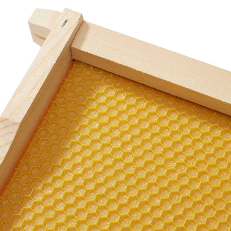 Honey Keeper Assembled Replacement Frames and Foundations for Deep Langstroth Beehive, Waxed ...